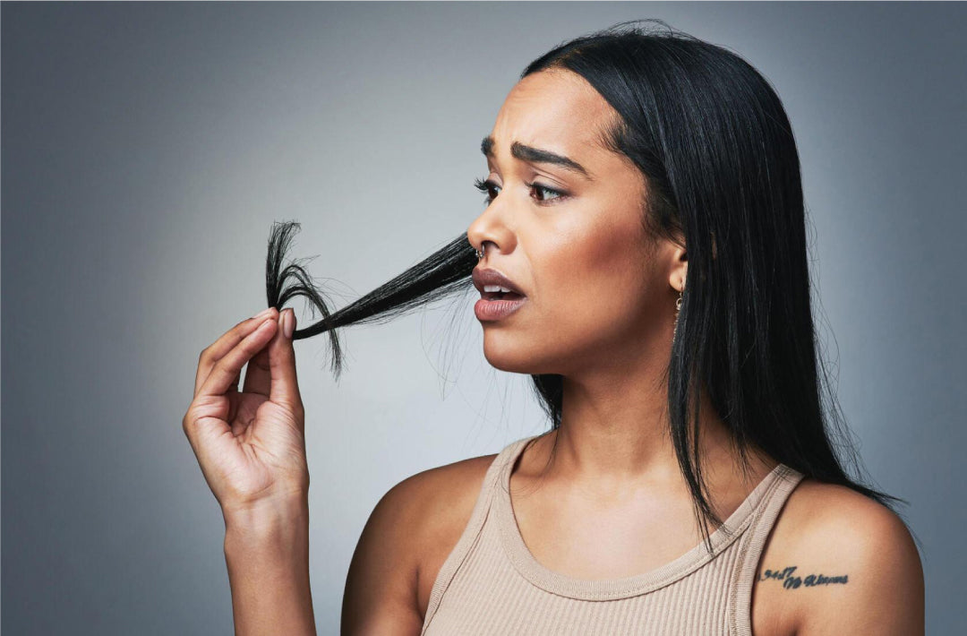 Everything You Need to Know About Split Ends – iluvia Professional